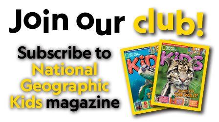 15 fun facts about the Queen | National Geographic Kids